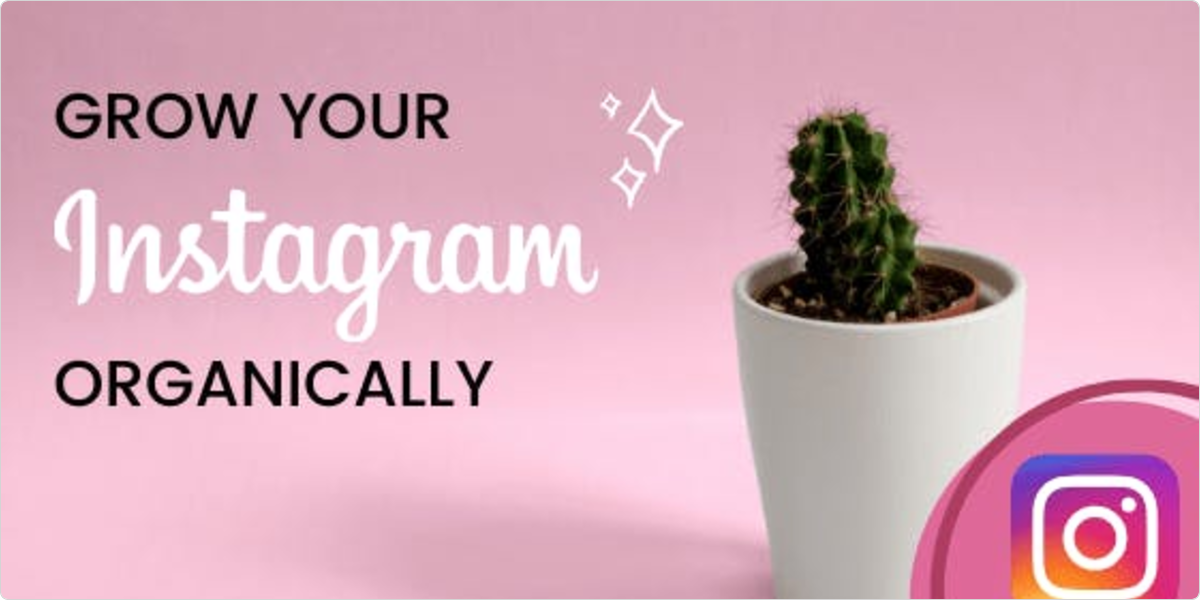 6 Ways to Master Organic Growth on Instagram in 2020